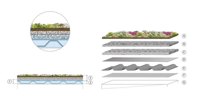 Dachbegrünung extensiv
