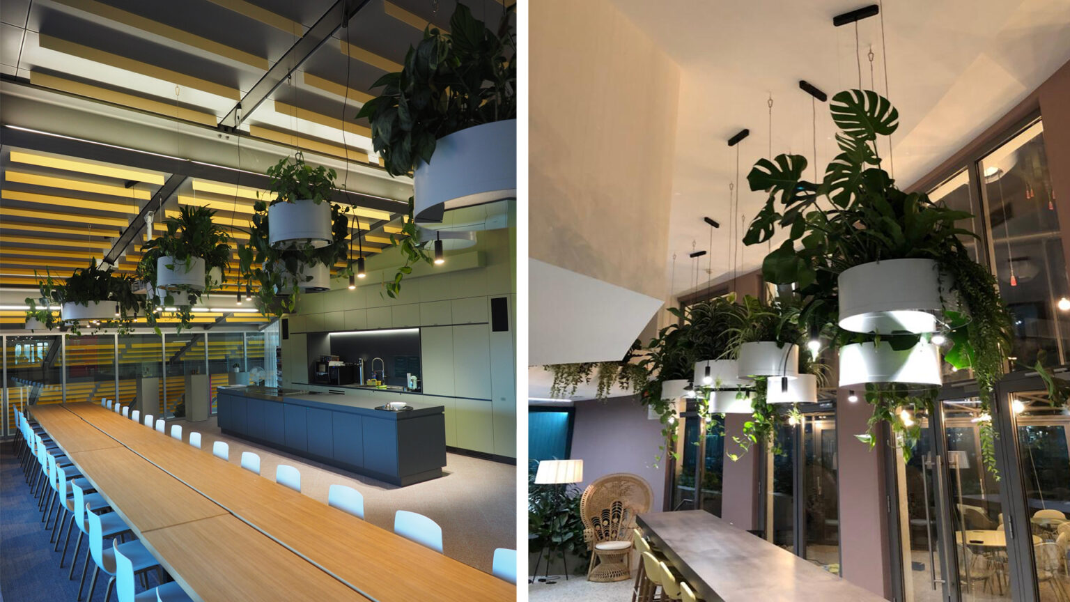 Roman Klis Design Innenraumbegrünungen