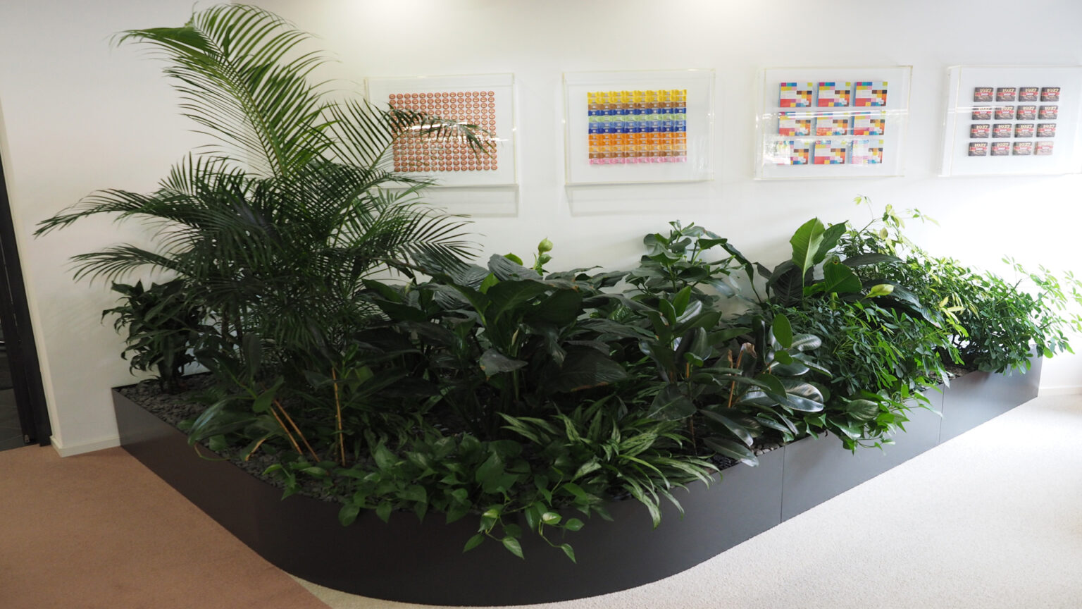 Roman Klis Design Innenraumbegrünungen