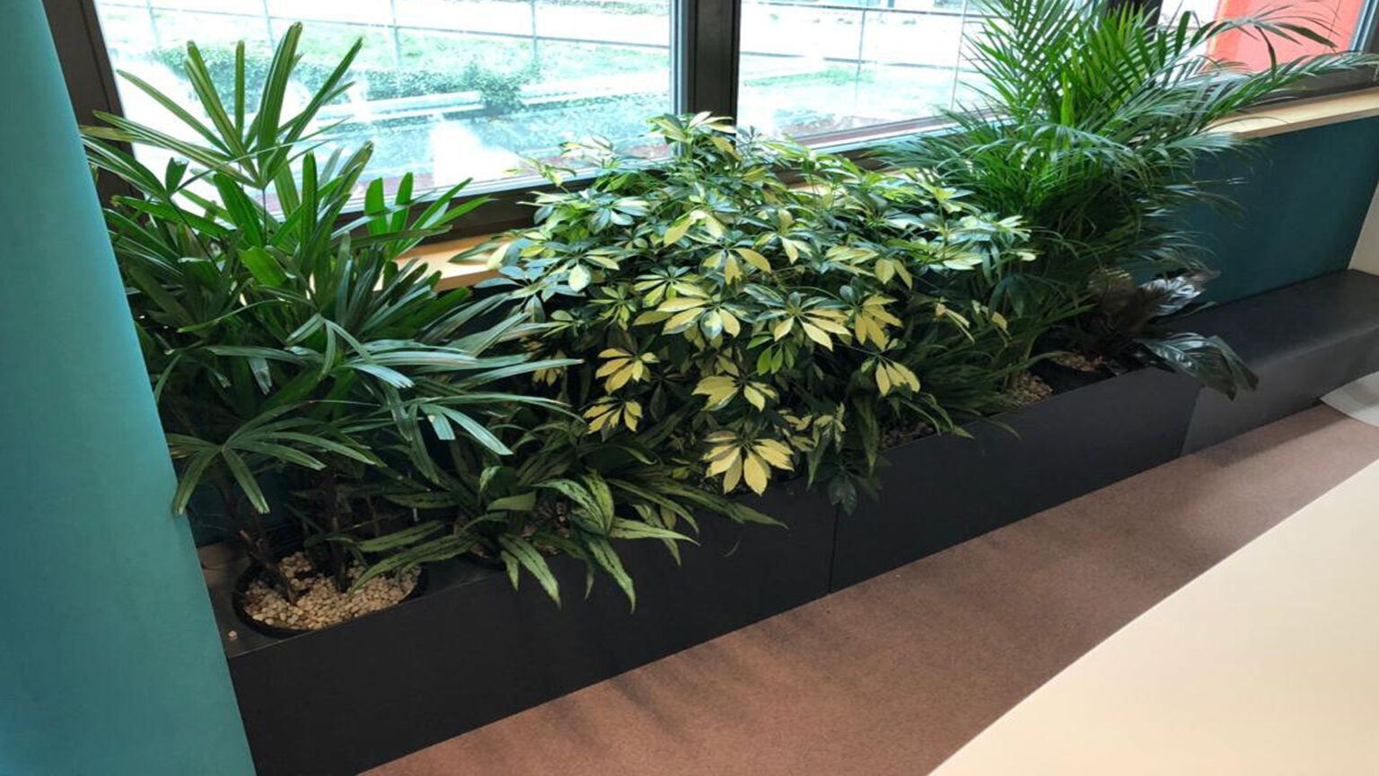 Roman Klis Design Innenraumbegrünungen